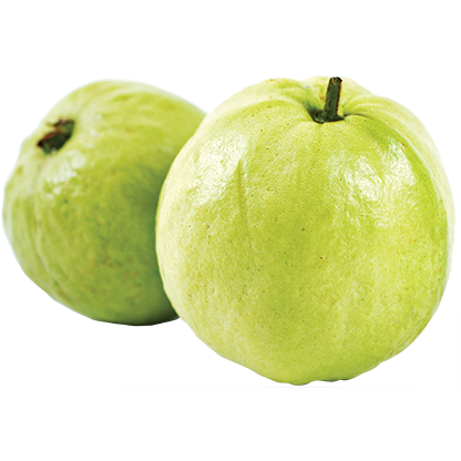 Guava India - Amazing Oriental