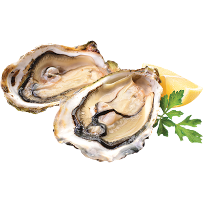 Verse Oester - Amazing Oriental