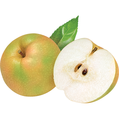 Yulu Fragrant pear - Amazing Oriental