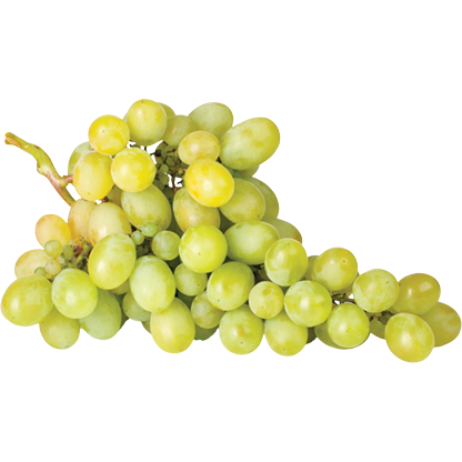 Witte druiven (pitloos) - Amazing Oriental